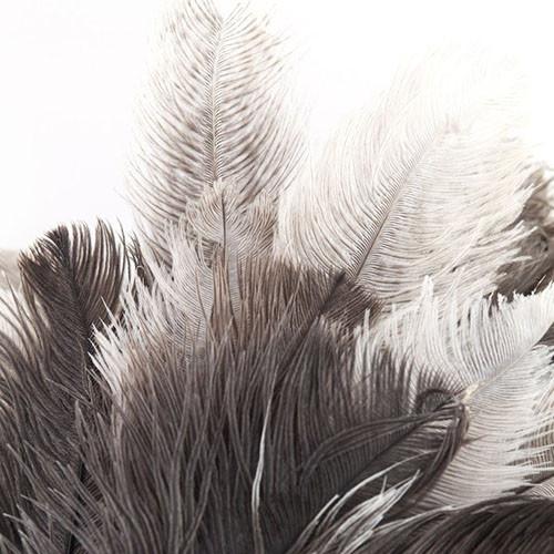 Tradition Large French Feather Duster, 47" by Andree Jardin - Amusespot ...