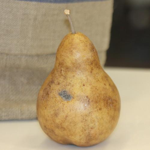 Large Pear Italian Carrara Marble Stone Fruit - Amusespot - Unique ...