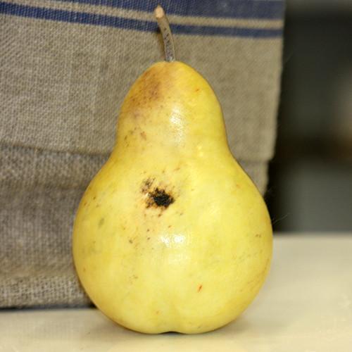 Large Pear Italian Carrara Marble Stone Fruit - Amusespot - Unique ...